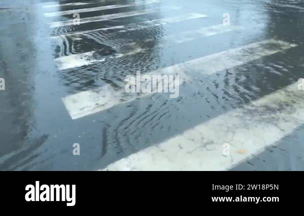 Water flows through a pedestrian crossing road during a rainstorm. Bad ...