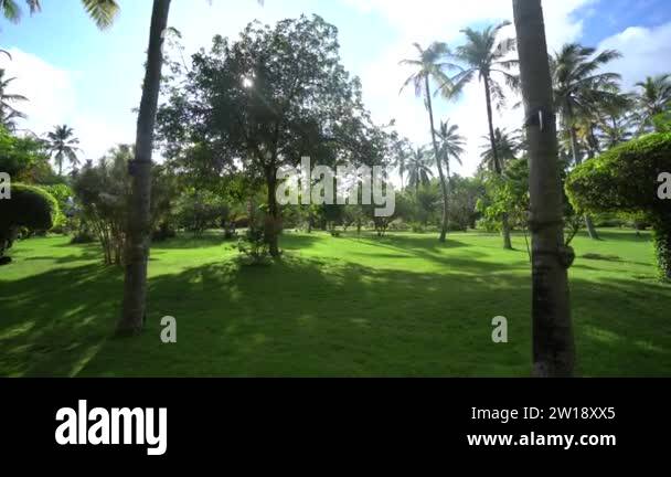 Maldives Sun Island resort green national park from gimbal in 4K ...