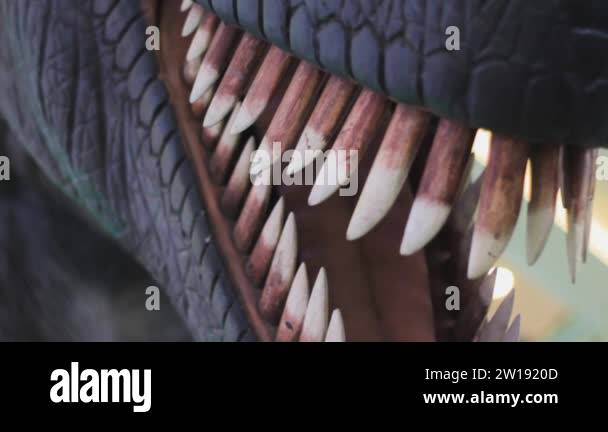 Tyrannosaurid theropod dinosaur Stock Videos & Footage - HD and 4K ...