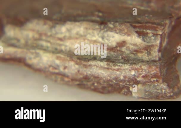 Quartzite texture Stock Videos & Footage - HD and 4K Video Clips - Alamy