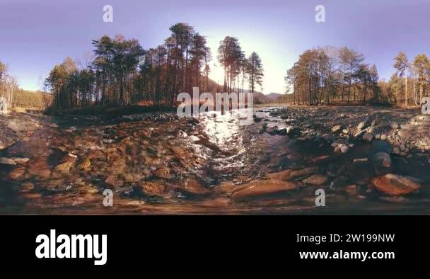 360 VR virtual reality of a wild mountains, pine forest and river flows ...