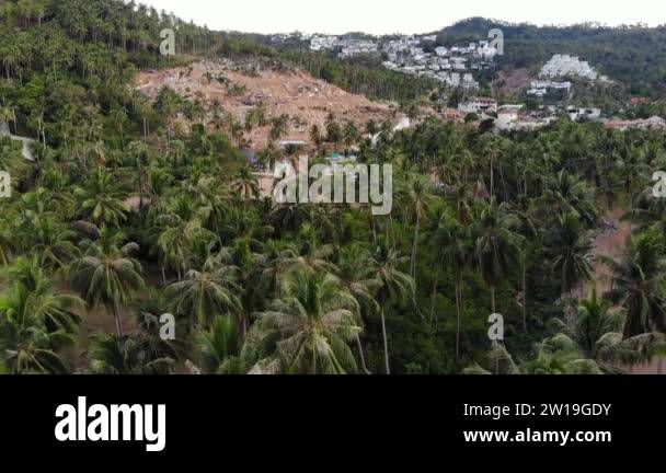 Tropical terrain covered with endangered forests and luxury villas ...