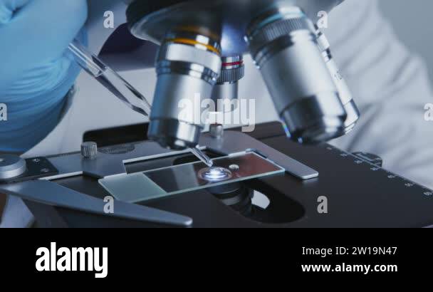 Technician drips a solution from pipette on the glass slide for further ...