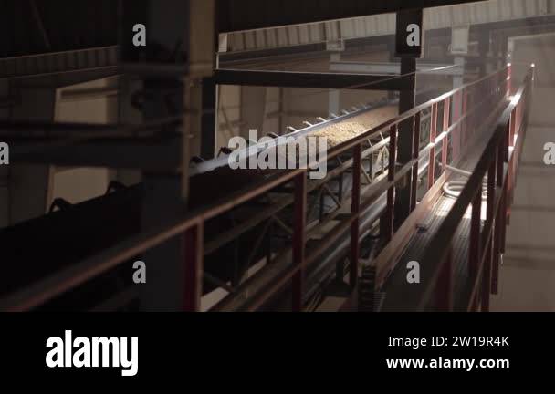 Machines working and conveyor line transporting sand. Conveyor belt on ...