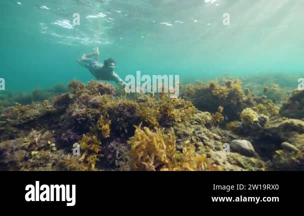 Underwater fishing: A man trying to hunt fish in the ocean using a ...