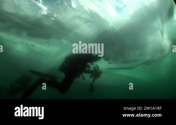 Diving under ice of cameraman underwater diver in cold water of lake ...