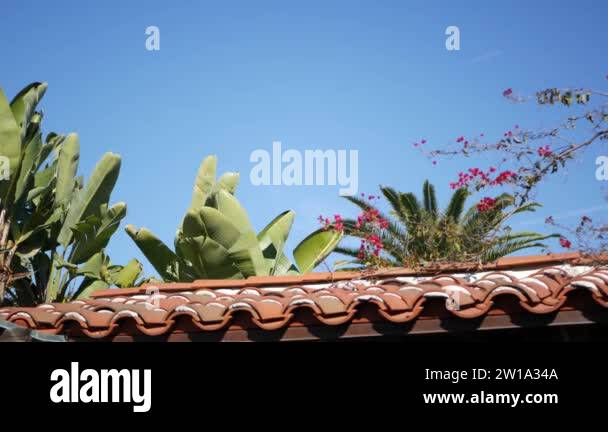 Mexican colonial style suburban, hispanic house exterior, green lush ...