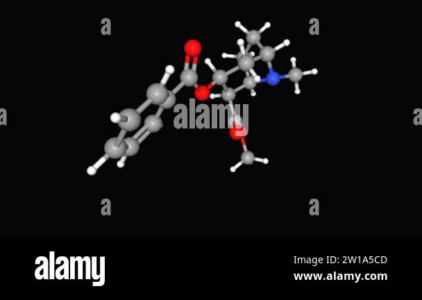 Animated 3D ball-and-stick model of cocaine, a recreational drug, black ...
