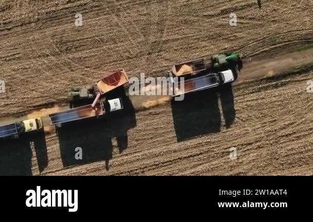 Combine Harvester Auger Unloading Harvested Corn into Trailer. Corn ...