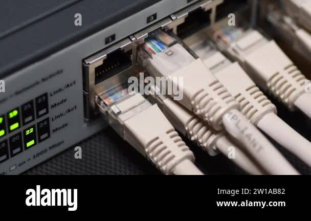 Male Hand Inserts The Green Data Lan Cable rj45 Into Network Switch in ...