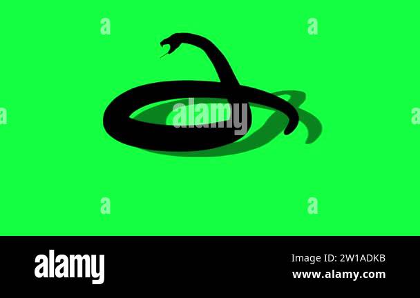 Animated silhouette Python Snake With Green Screen Background Stock ...