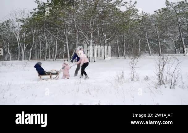 Happy family sledding on snowy winter day. Daughter helps father and ...