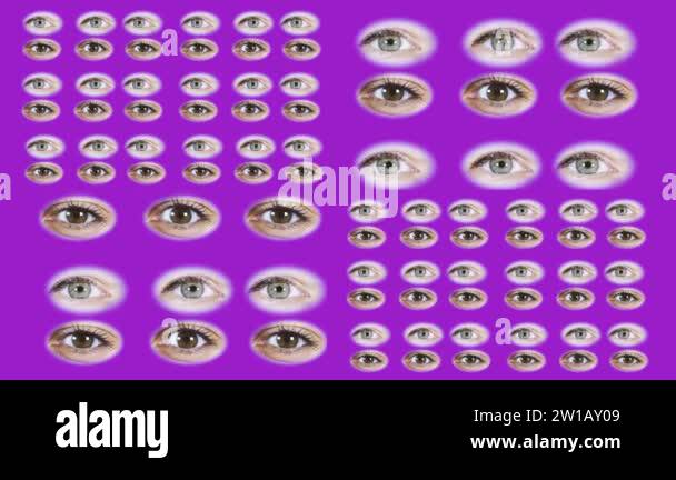A lot of eyes. Two types of female eyes. A background of the eyes. Eyes ...