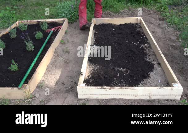 Soil humus Stock Videos & Footage - HD and 4K Video Clips - Alamy