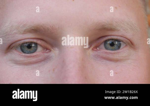 Detail view blue eyes of man staring and blinking with happy sight ...