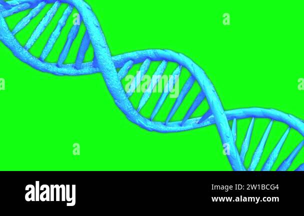 dna animation green screen animation, helix animation dna 3d 4k green ...