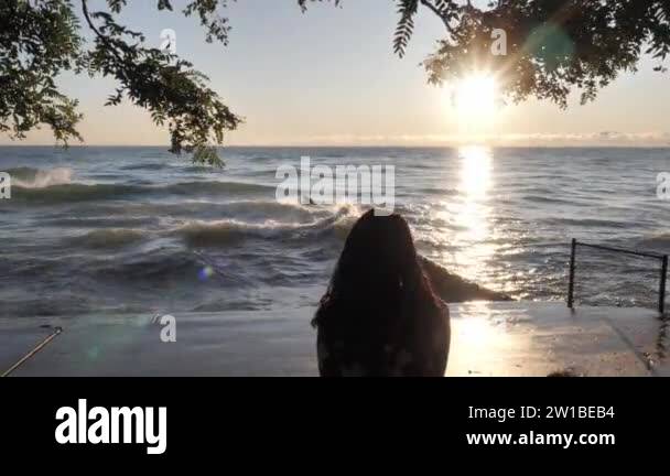 A vertical pan coming down from a honey locust tree branch with the sun ...
