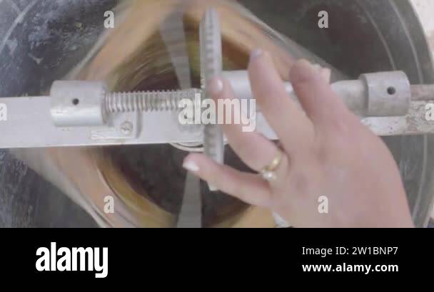 Handling insects Stock Videos & Footage - HD and 4K Video Clips - Alamy