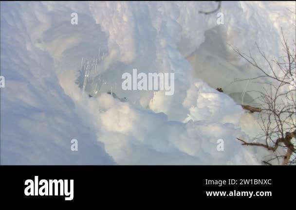 Family folklore Stock Videos & Footage - HD and 4K Video Clips - Alamy