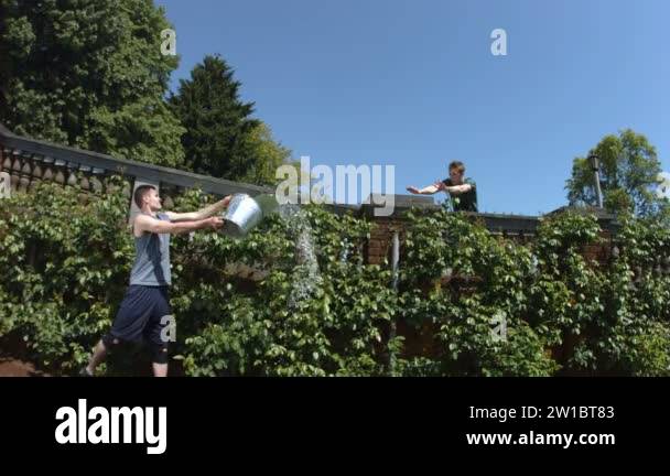See through bucket Stock Videos & Footage - HD and 4K Video Clips - Alamy
