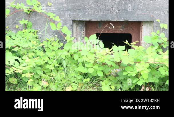 Old bunker fortification military defense structure that provides a ...