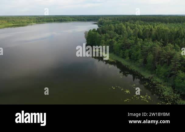 Top view of the lake Bolta in the forest in the Braslav lakes National ...