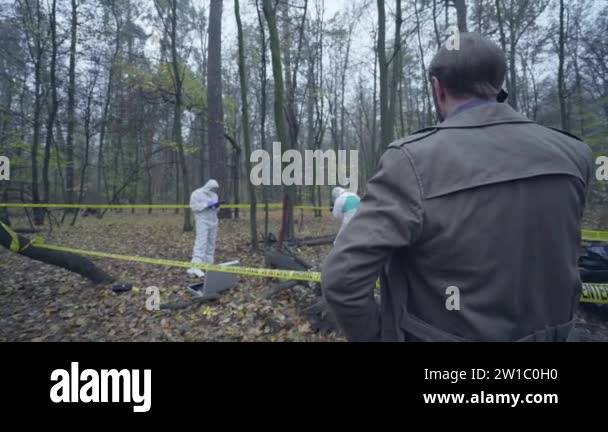Evidence collection at forest crime scene, investigators working on ...