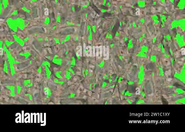 Green Screen ten Dollar Bills Rain high density Effects Animation ...