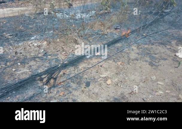 Grass fire burn dry foliage and Fiber optics wires. Destruction ...