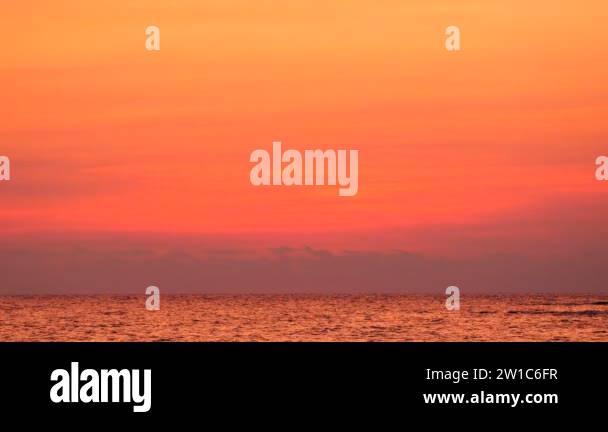 Beautiful orange color tropical Stock Videos & Footage - HD and 4K ...