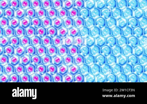 Human skin cells. Each cell with membrane. Cellular therapy. Disease ...