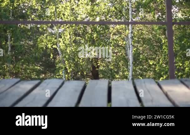 Foot Steps on nature background. Man and woman walking Stock Video ...