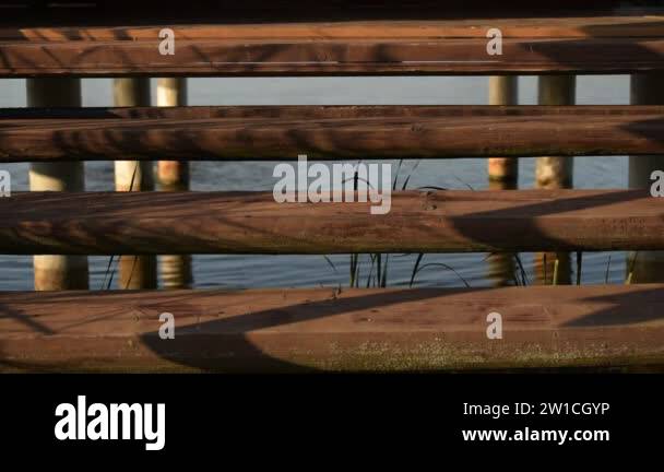 Landscape called Wood texture Stock Video Footage - Alamy
