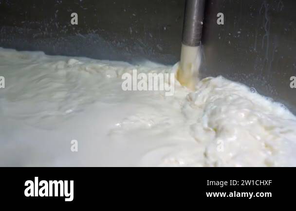 Raw Milk Pouring into Pasteurization Tank - Dairy Plant Food Safety ...