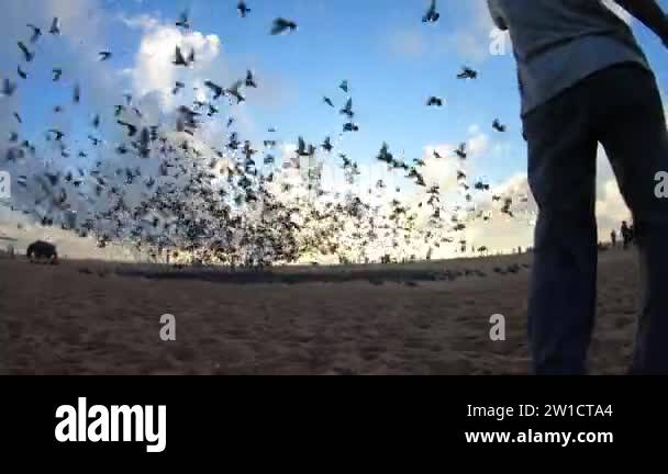 Chennai India marina beach GoPro hero 7 black 4K 60fps cinematic ...