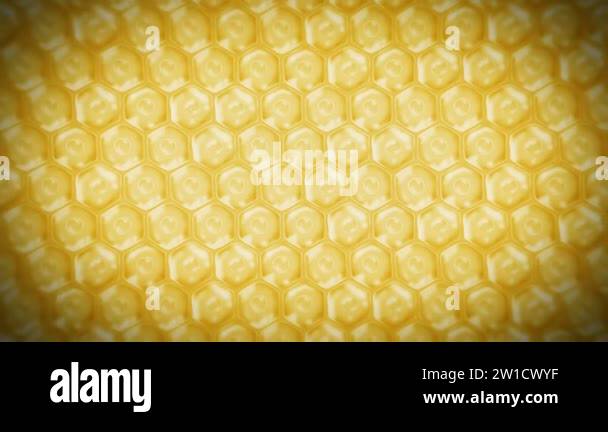 Human skin cells. Each cell with membrane. Cellular therapy. Disease ...