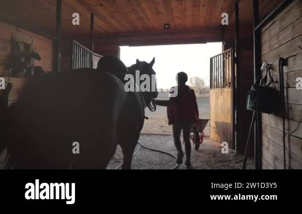 Horse stables sunset Stock Videos & Footage - HD and 4K Video Clips - Alamy