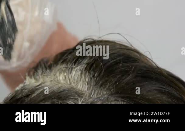 The overgrown gray roots of a middle-aged woman who dues her hair ...