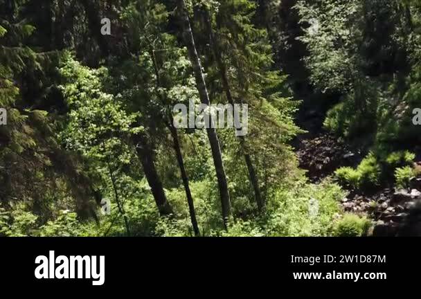 Top view waterfall from rocky Stock Videos & Footage - HD and 4K Video ...