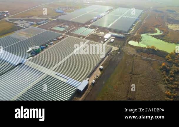 Greenhouse complex. Large agricultural complex. Industrial greenhouses ...