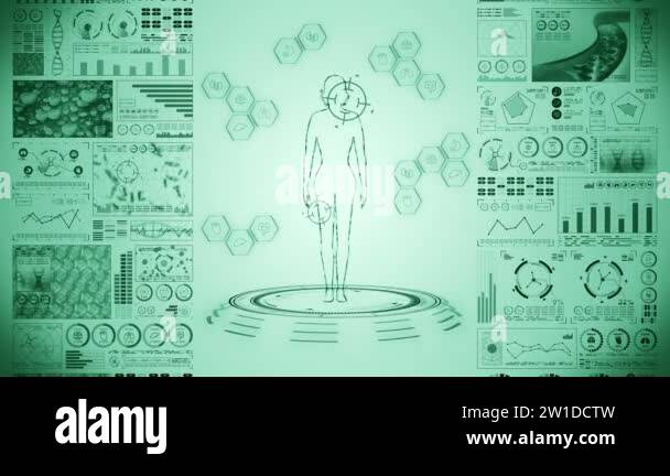 Woman virtual body. Human medical hologram animation. Graph, Diagram ...