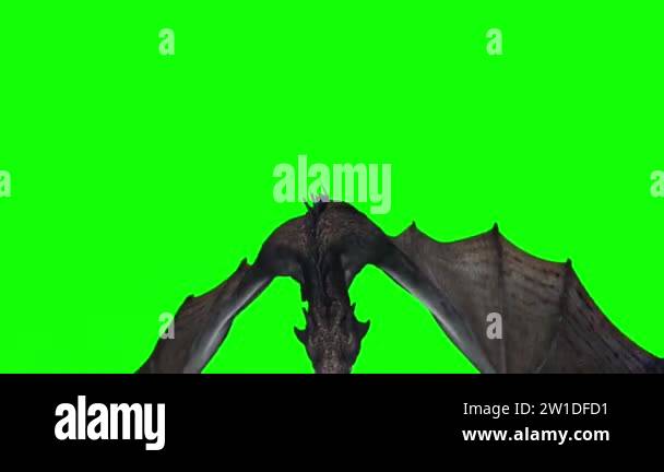 Dragon Flying on Green Screen Stock Video Footage - Alamy
