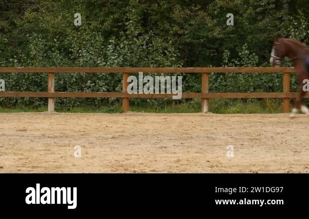 Jockey riding a horse Stock Videos & Footage - HD and 4K Video Clips ...