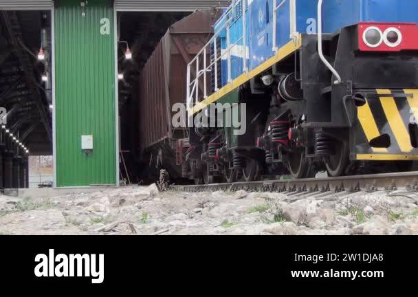 In the afternoon, a diesel locomotive with a blue cabin pulls wagons ...