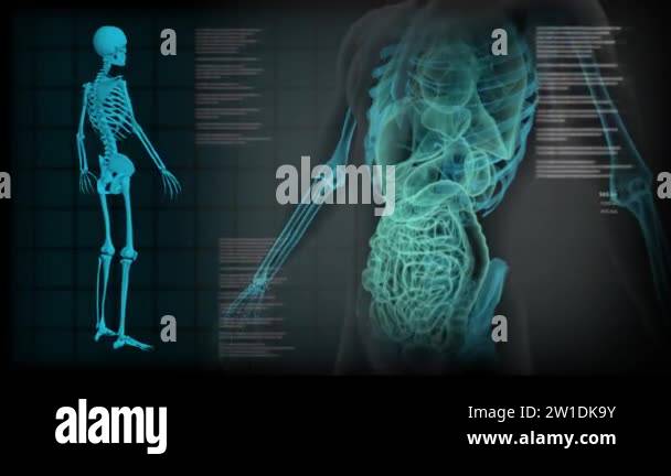 Medical seamless looping background with x-Ray roentgen body and ...