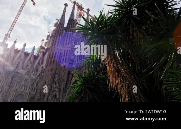 Gaudi sagrada familia tree Stock Videos & Footage - HD and 4K Video ...