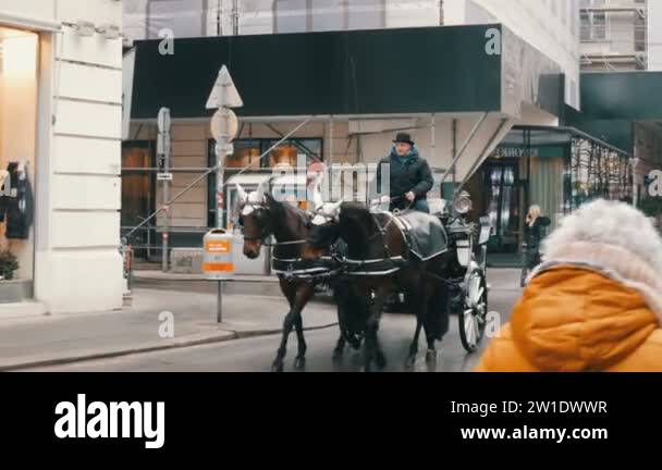 Horse drawn carriage carriages Stock Videos & Footage - HD and 4K Video ...