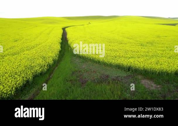 Crop drainage Stock Videos & Footage - HD and 4K Video Clips - Alamy