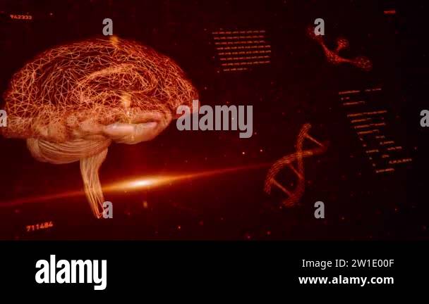 Background with animation of abstract interface. Human body, DNA ...