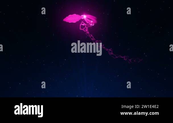 Squid illuminated with color light in the underwater. Fluorescent color ...